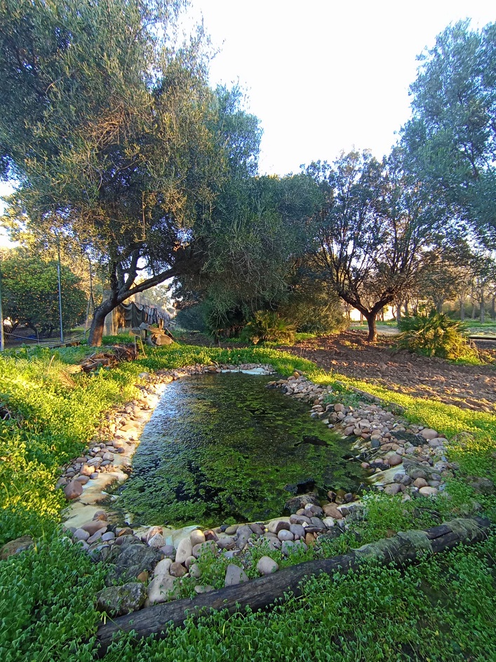 Parque del Alamillo - Nuevas acciones y apoyos en 2025 para conservar y ...