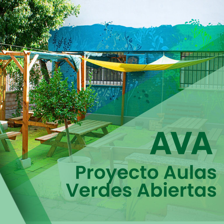 Inicio Programa CIMA curso 24-25 - eAprendizaje