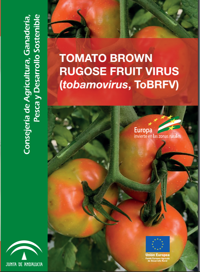 Tomato Brown Rugose Fruit Virus (ToBRFV) - Junta de Andalucía