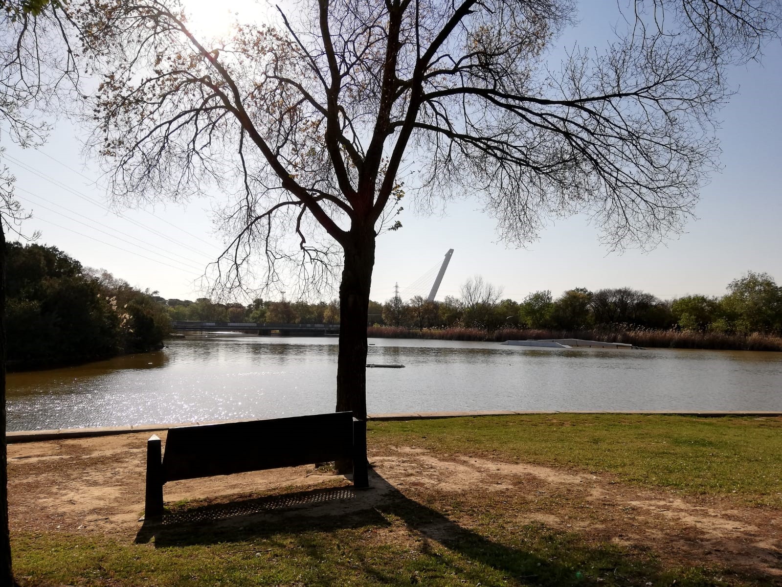 El Parque del Alamillo renueva un año más el certificado que acredita ...