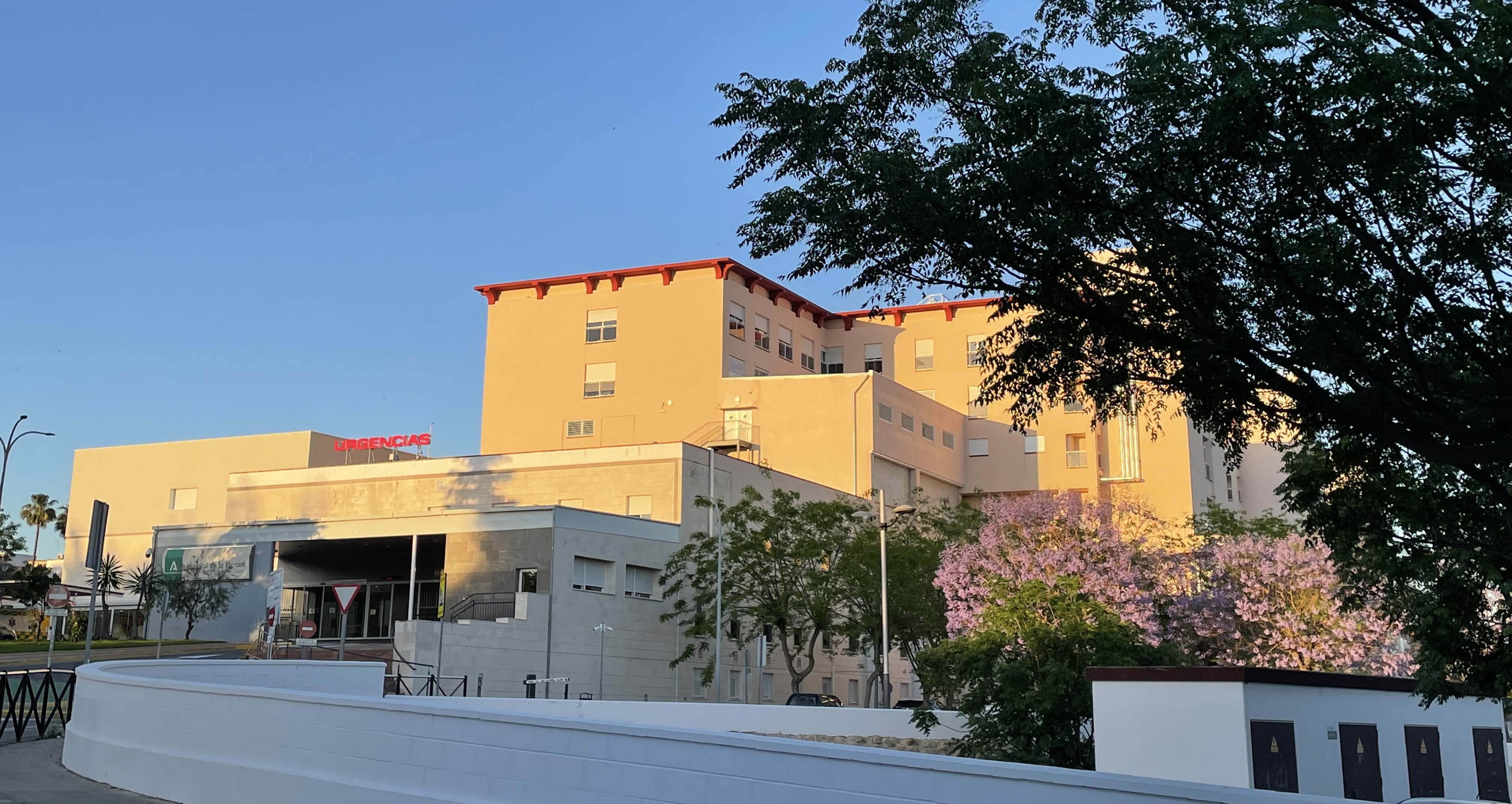 El Hospital de La Merced de Osuna recibe la designación de hospital ...