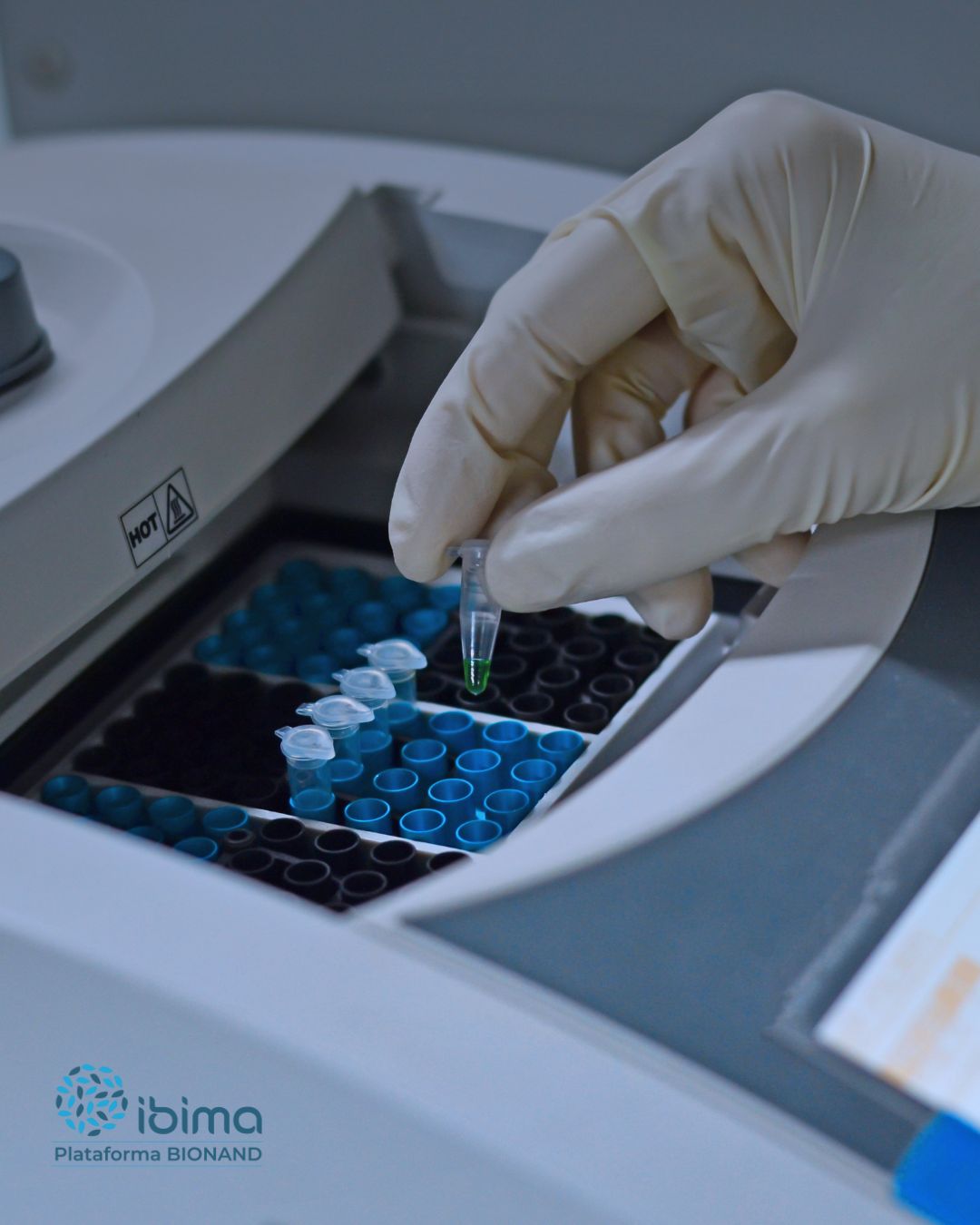 Un nuevo diseño de nanopartículas optimiza las terapias contra el ...