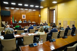 Del Pozo anuncia una nueva convocatoria de ayudas para financiar ...